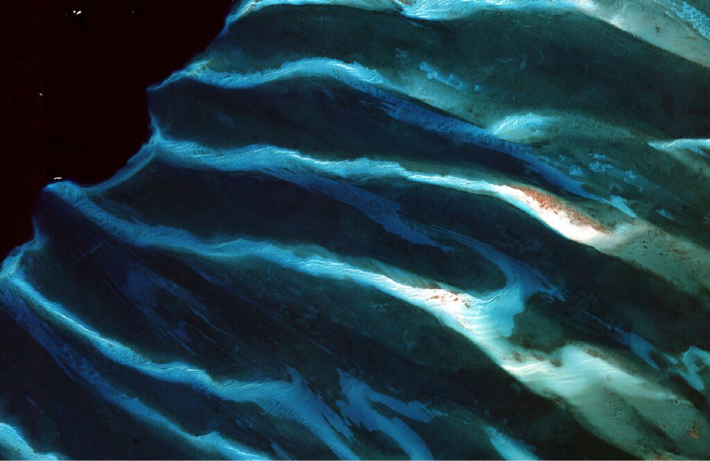 Blue Carbon Mapping - TCarta Satellite-Based Hydrospatial Tech